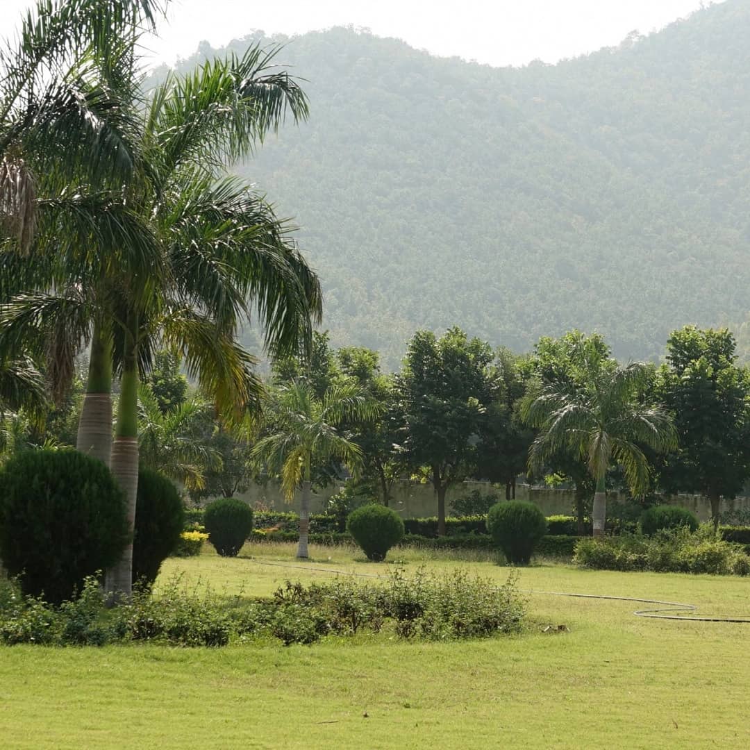 Garden Design Projects in Kolkata | Touch Green Portfolio